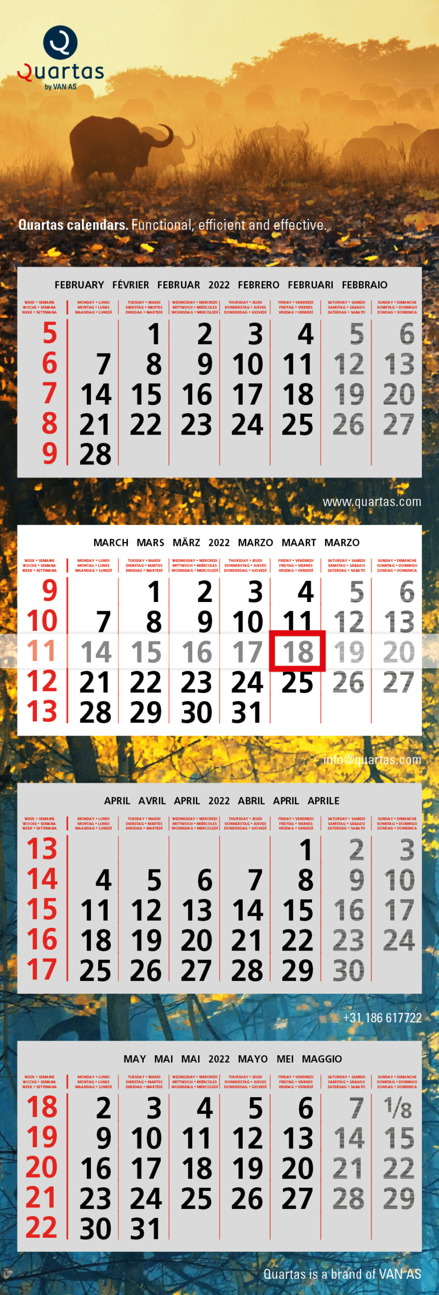 4-month calendars - Quartas EN